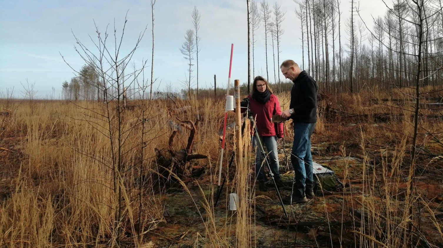 Wie Wildnis das Klima schützt_Yannick | Leuphana