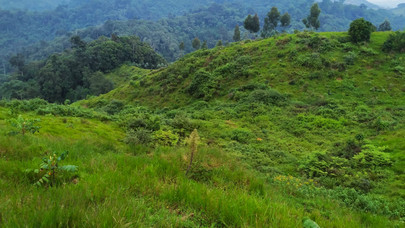 Ecosystem Restoration Rwanda | Leuphana